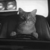 Thy Creature Preview - Capsule Computers