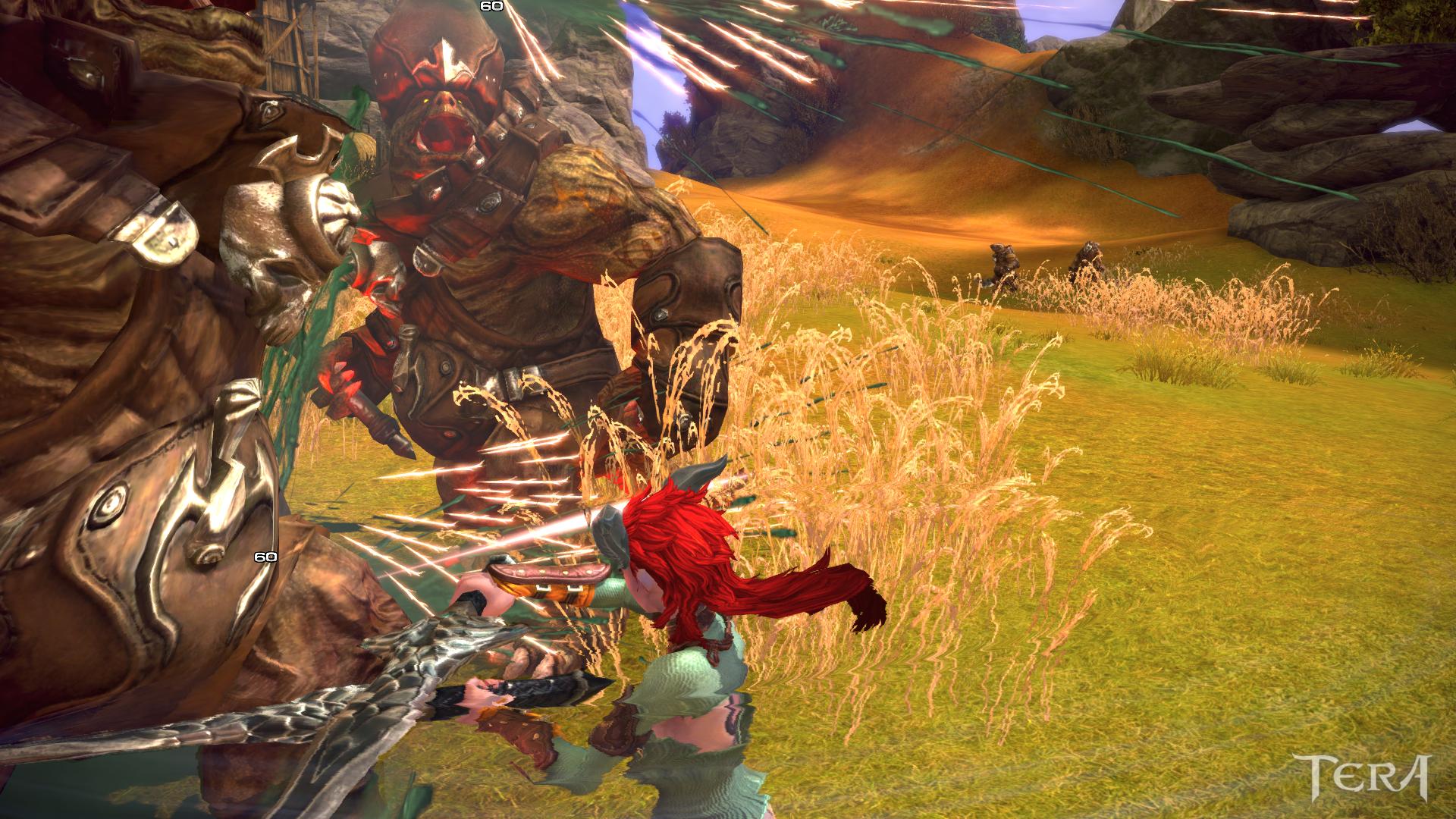 TERA Review - Capsule Computers