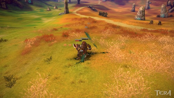 TERA Review - Capsule Computers