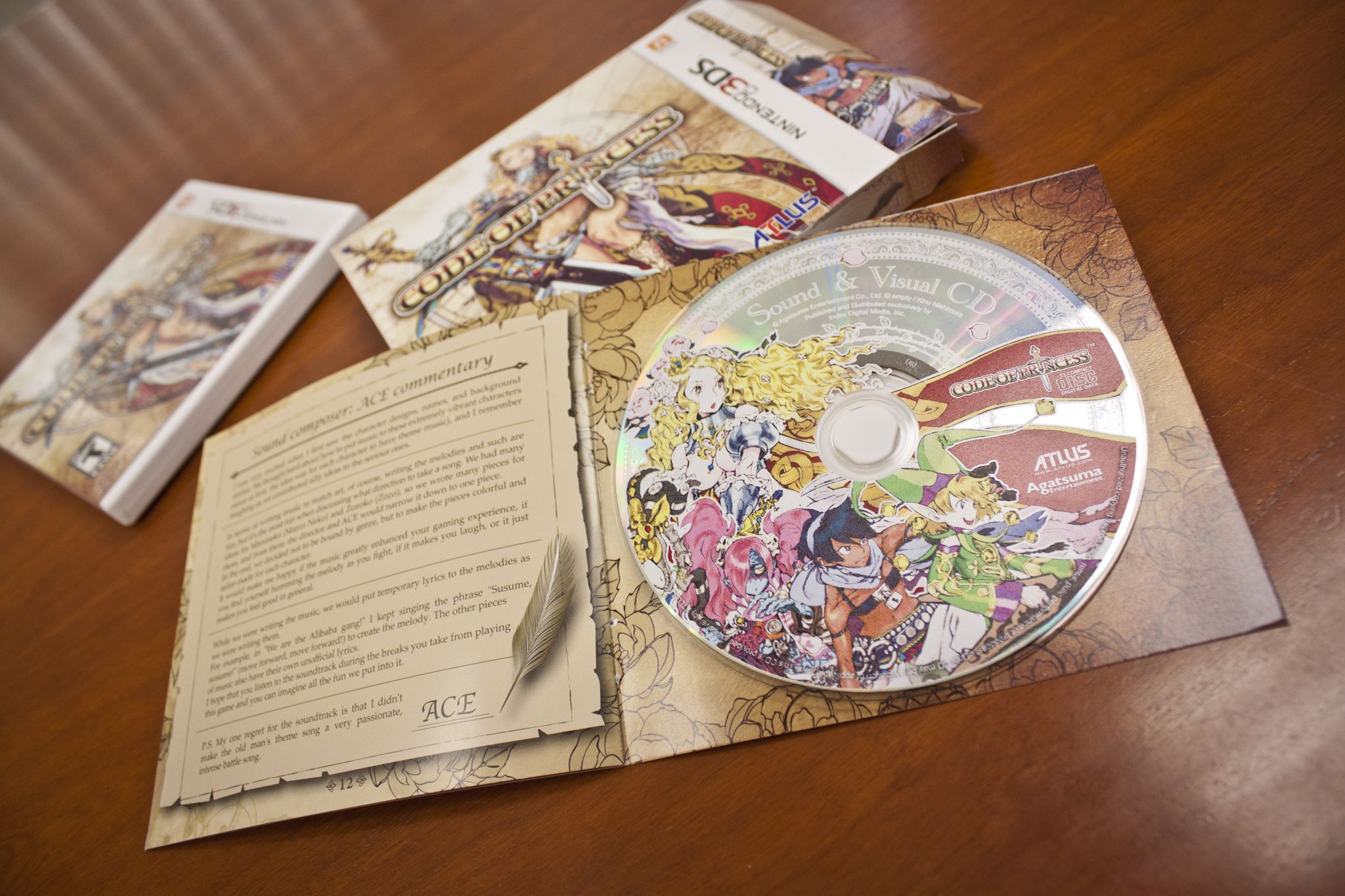 Code of Princess screens and packaging shown off - Capsule Computers