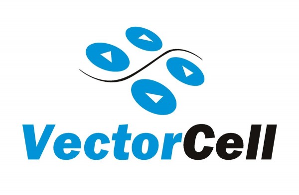 Paul Cuisset and Vector Cell Partners with Anuman Interactive - Capsule ...