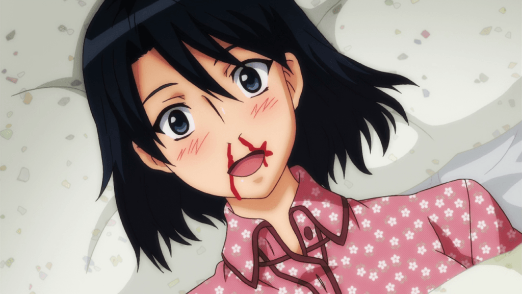 Maria Holic: Complete Collection Review - Capsule Computers