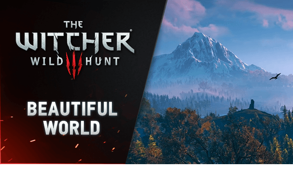 Beautiful World of The Witcher 3 - Capsule Computers