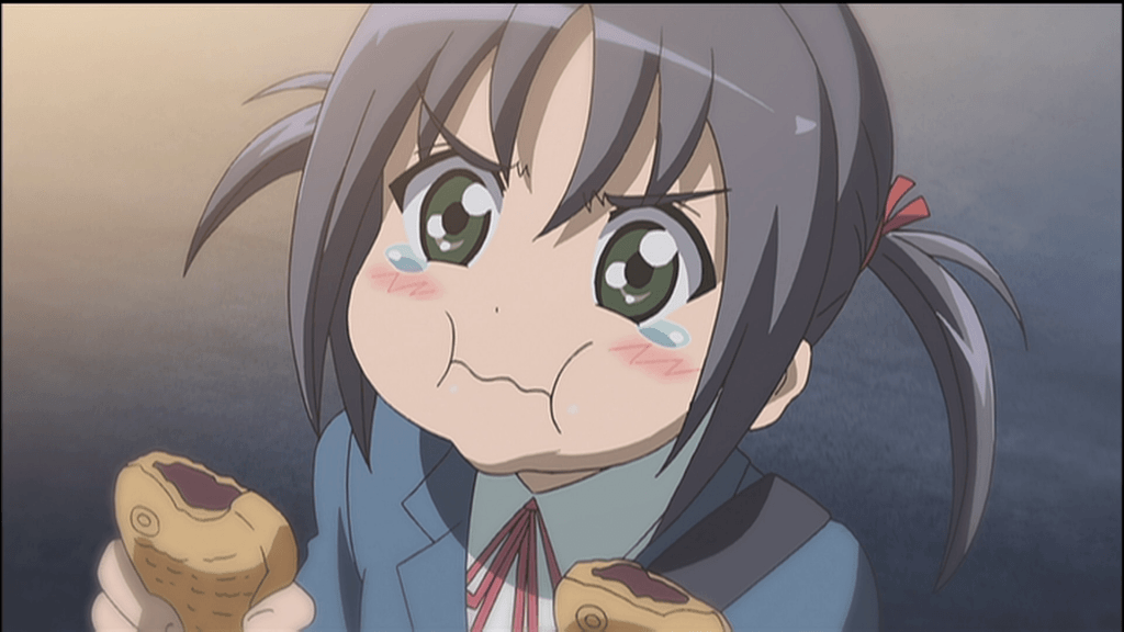 Hayate the Combat Butler Season 1 Complete Collection Review - Capsule ...