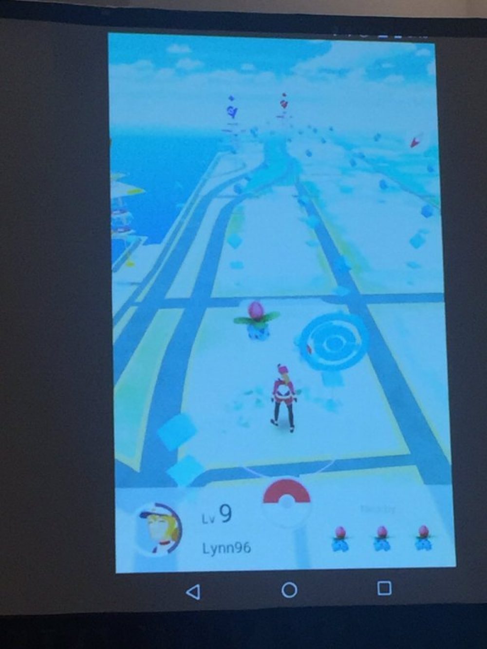 New Pokemon Omega Ruby & Alpha Sapphire Mega Evolutions & Contests ...