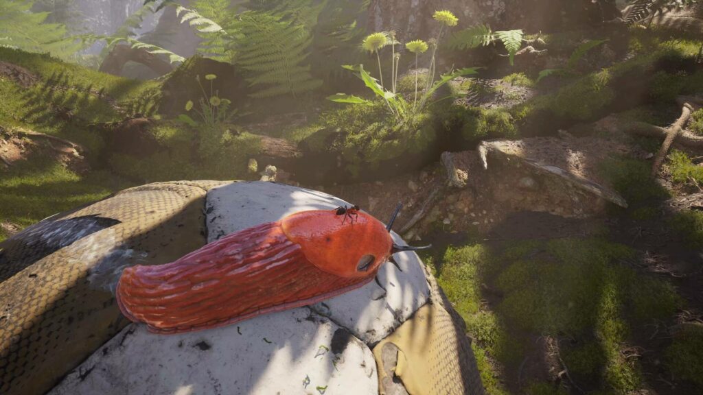 Empire of the Ants Review - Capsule Computers